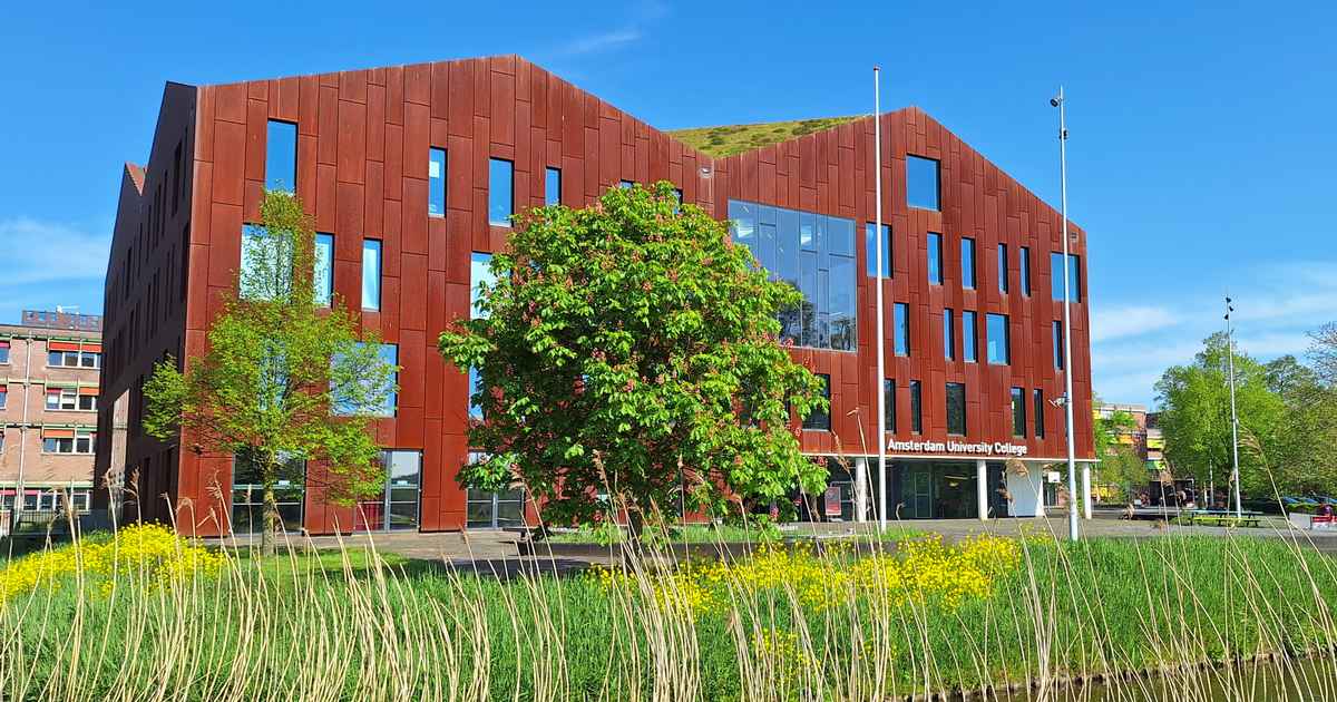 Summer at AUC 2025 - Amsterdam University College